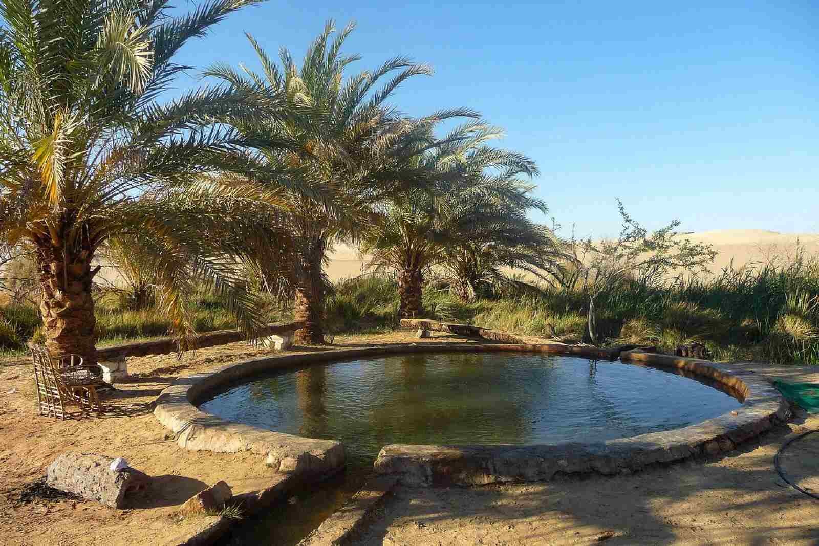Charm of Siwa Oasis | Your Egypt Tours